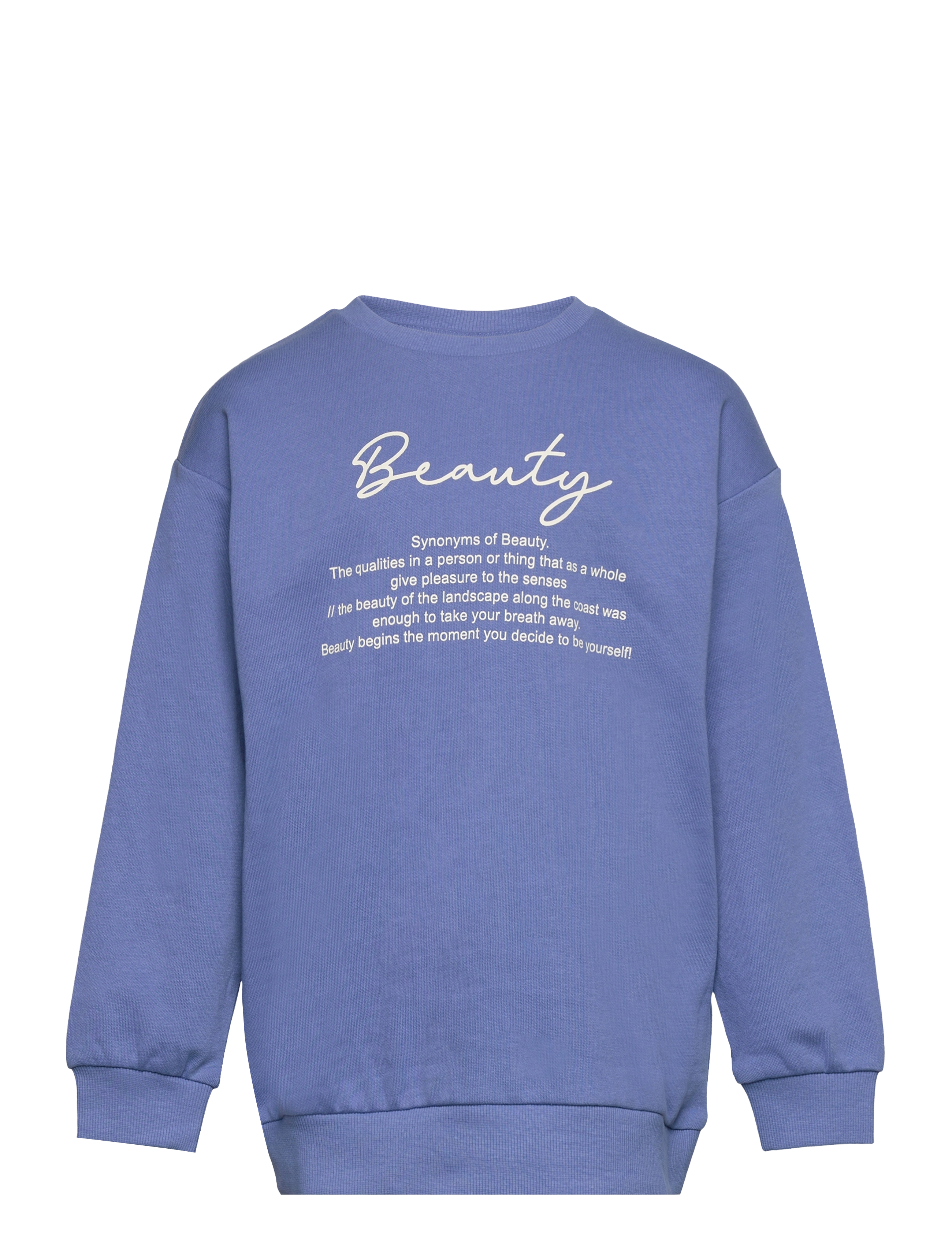name it Nkfoty Ls Long Boxy Sweat Bru – – shop at Booztlet